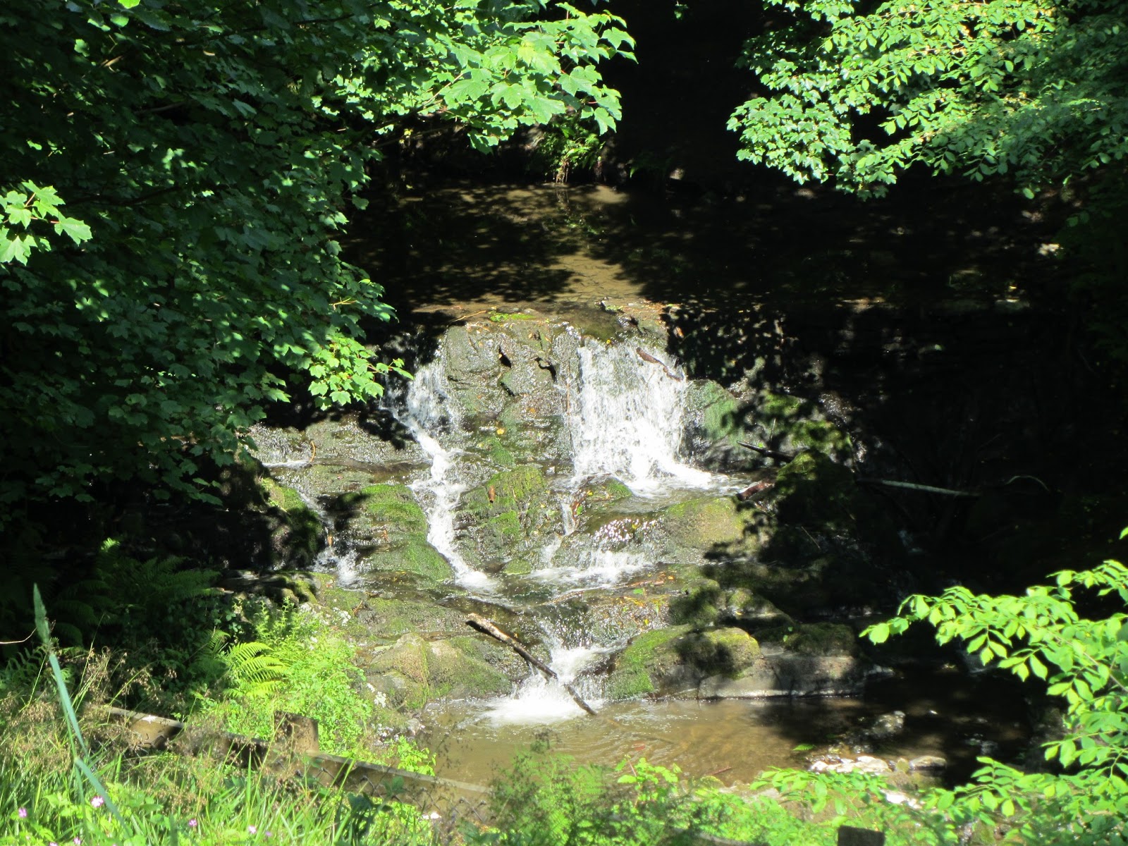 *Nina's Bargain Beauty*: Places to Go in Ireland : Dun Na Ri Forest Park