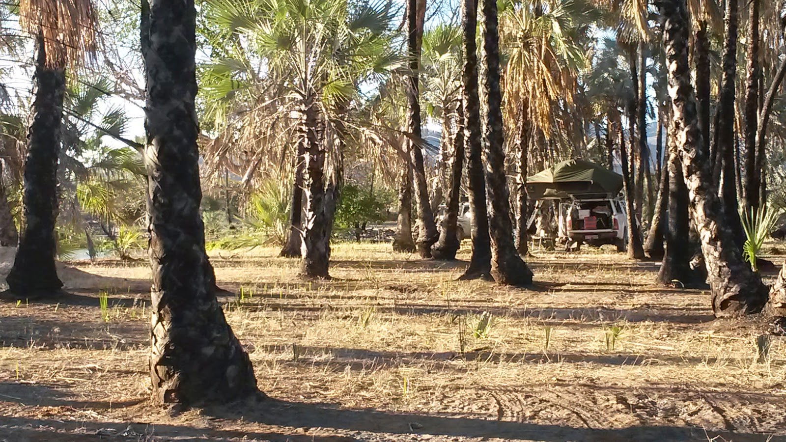 Mrad & Inge's 60+ Namibia KAOKOLAND: D9: Enyandi Camp - Epupa Falls (52km)