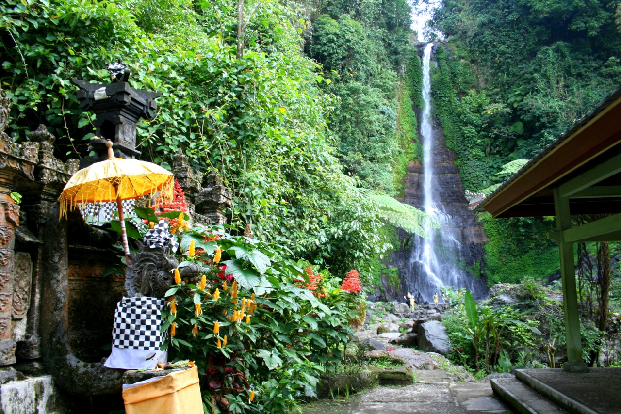 Gitgit Waterfall ~ Aya's Tours Bali