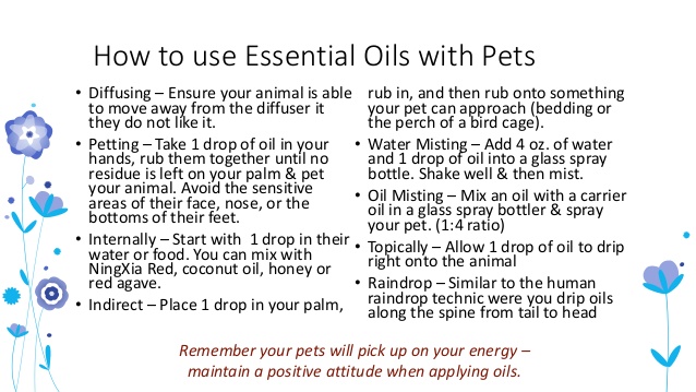 Essential Oils & Animals