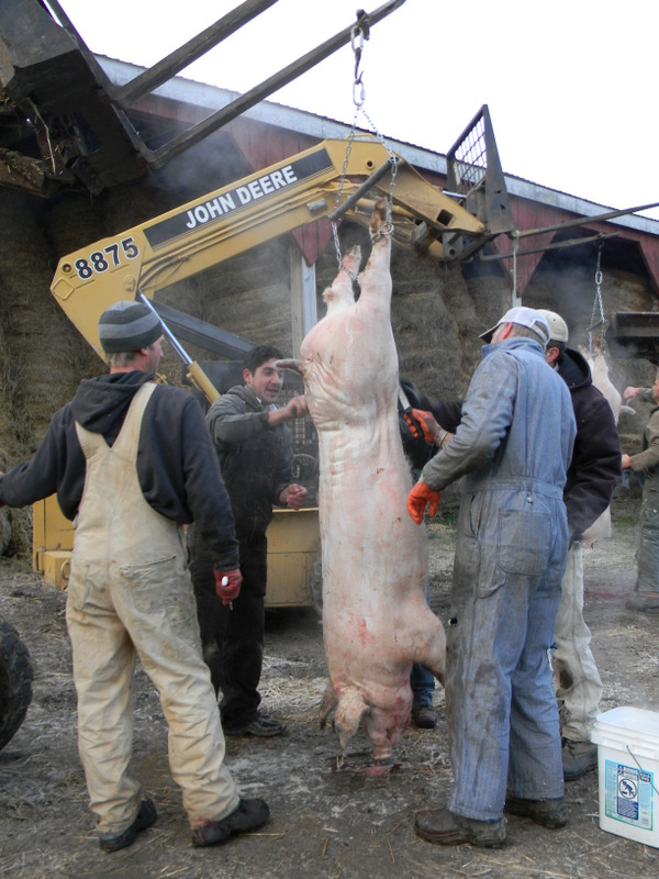 Home Joys: Hog Butchering 2012