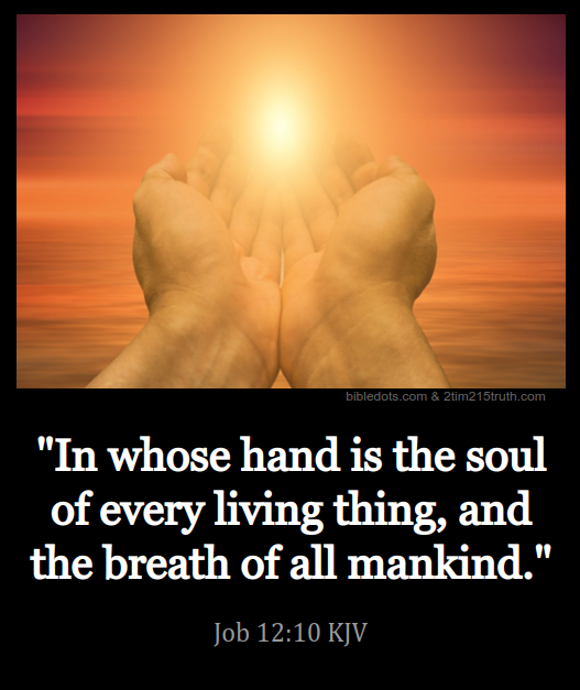 2 Timothy 2:15 Truth: Verse of the Day: Job 12:10 KJV