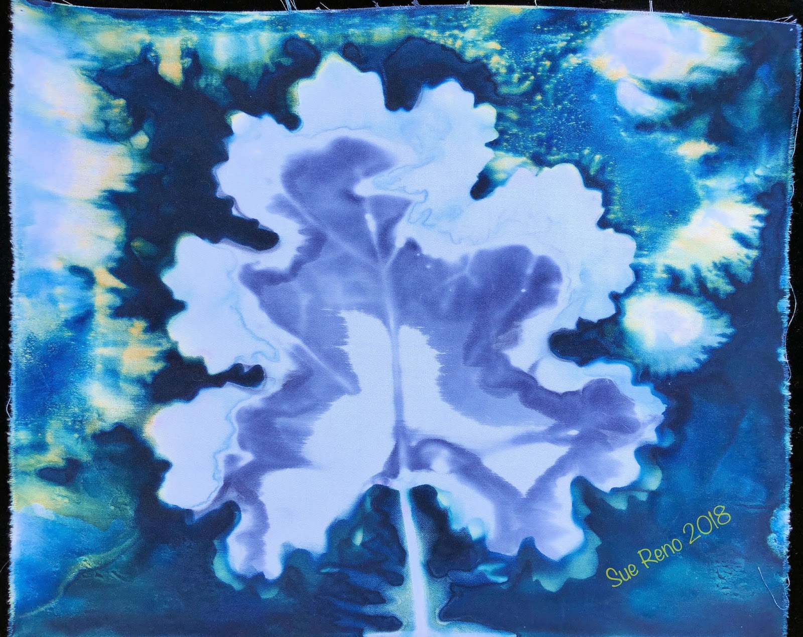 Sue Reno Studio: Experiments in wet cyanotype - part 32