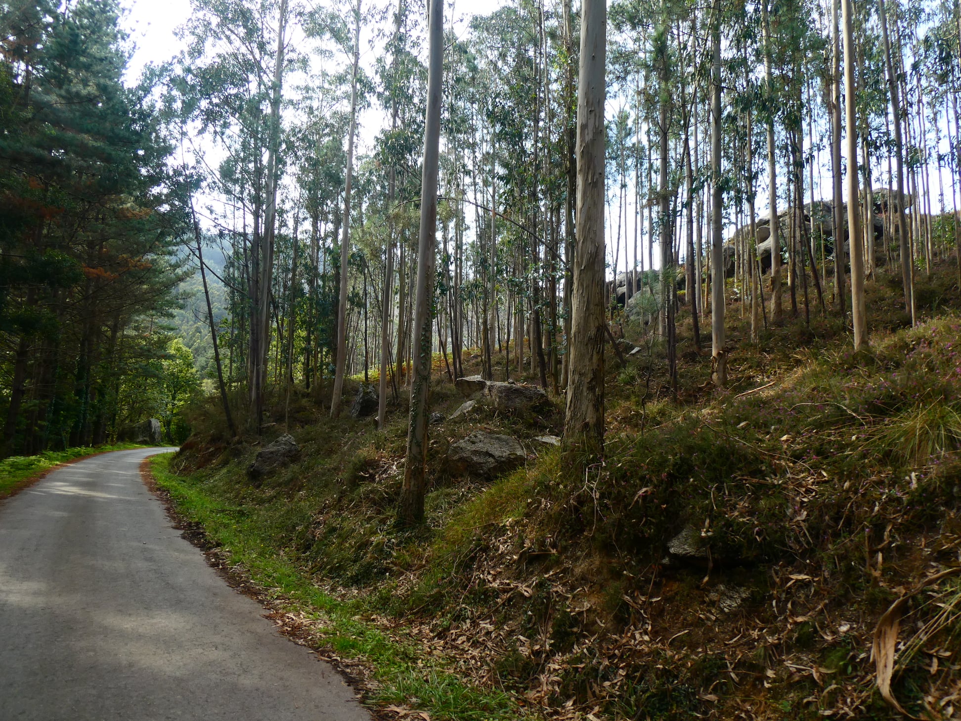 Xurde Morán: VILOALLE, EL COTO DA RECADIERIA Y SAN LÁZARO: ENLACE CON ...