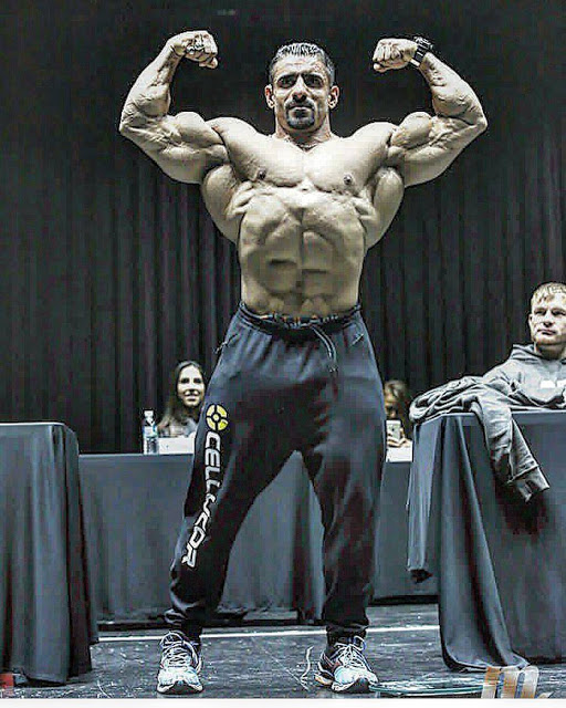world bodybuilders pictures: iranian bodybuilder Hadi Choopan
