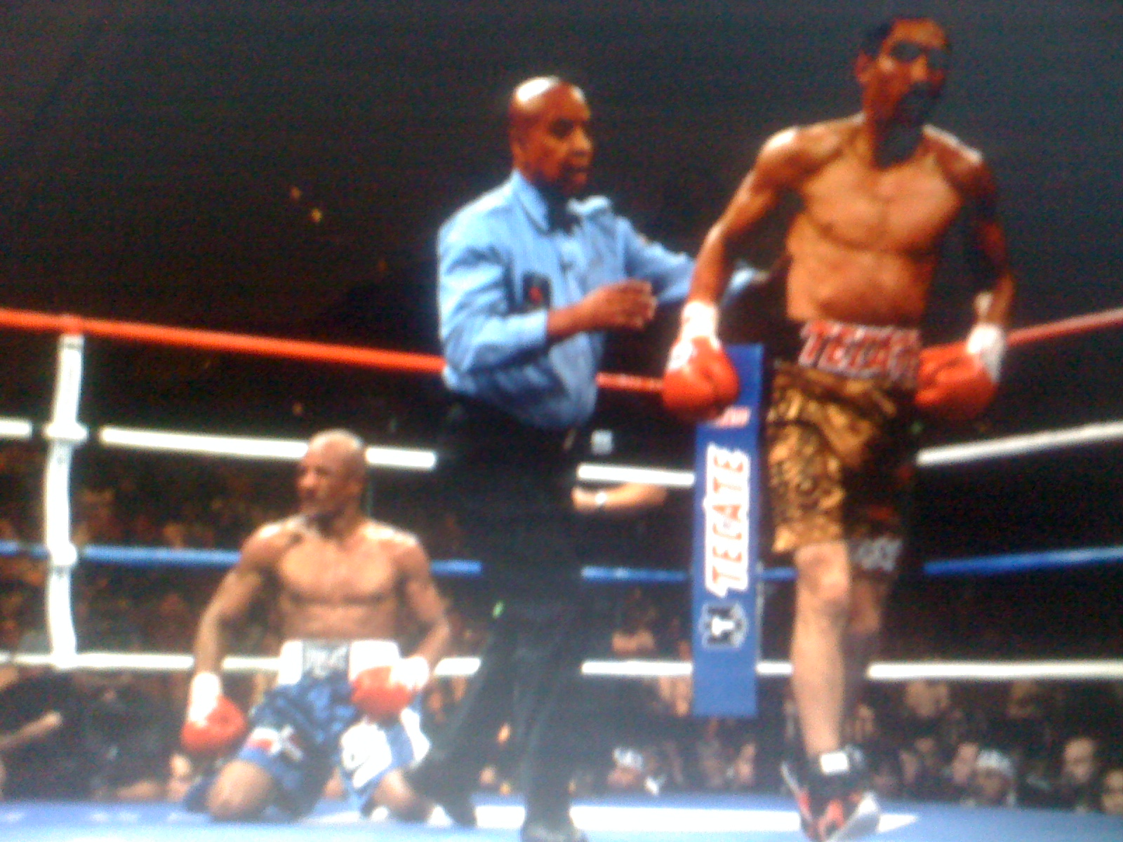 THE BLACK SOCIAL HISTORY:: BLACK SOCIAL HISTORY : AFRICAN AMERICAN OF ...