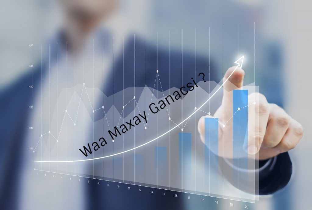 Blogger: Waa Maxay Ganacsi Blogger: Waa Maxay Ganacsi