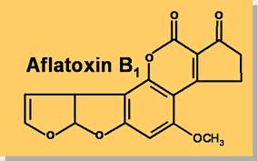 Aflatoxins: Toxin, Toxic Chemical and Carcinogen in Peanut Butter ...