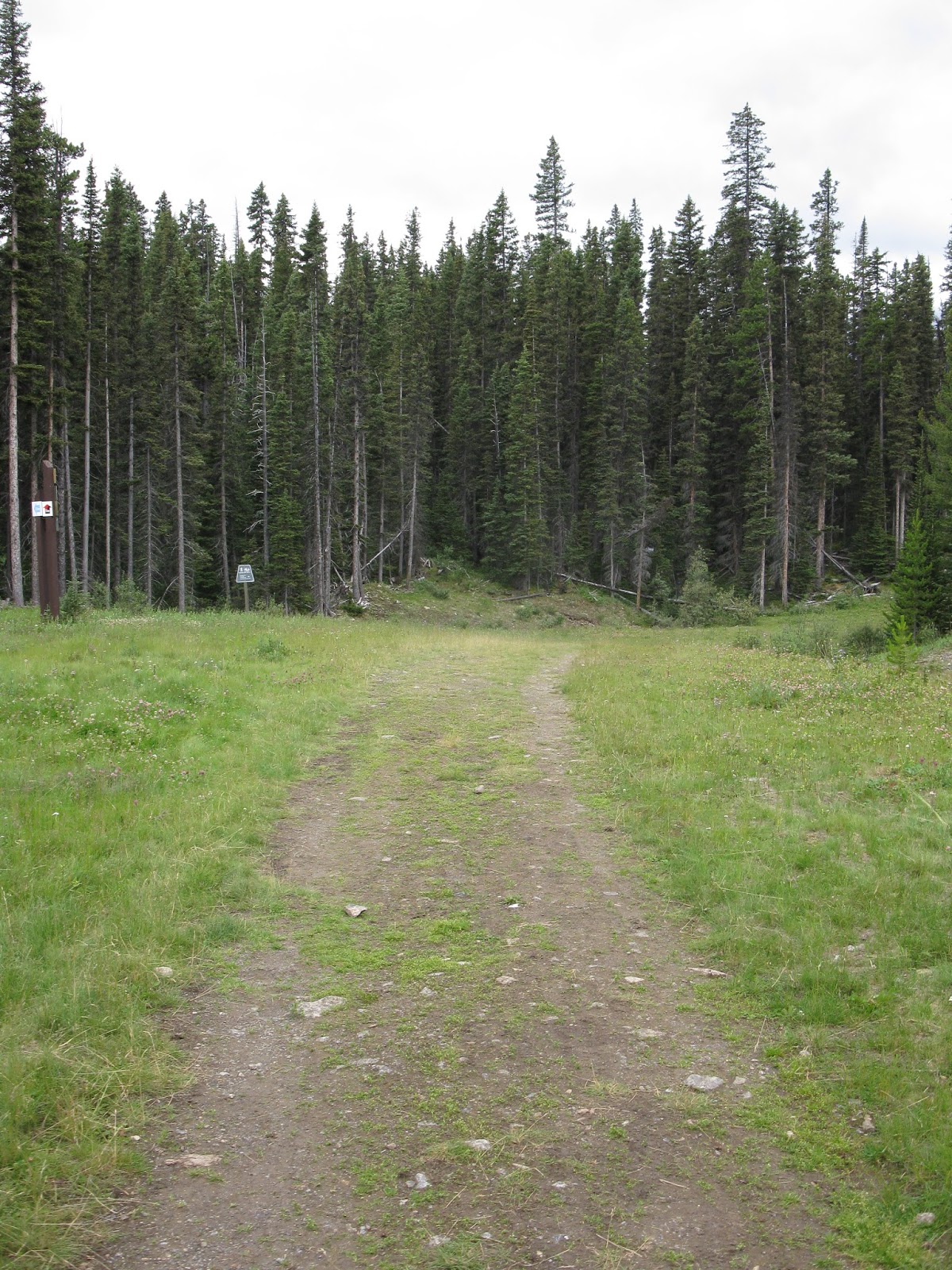 Fat and Scant of Breath: My hiking adventures in the Canadian Rockies