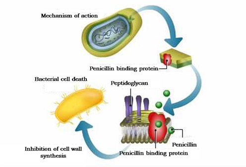 Biomedicine blog: 1.2.2. Identifying targets