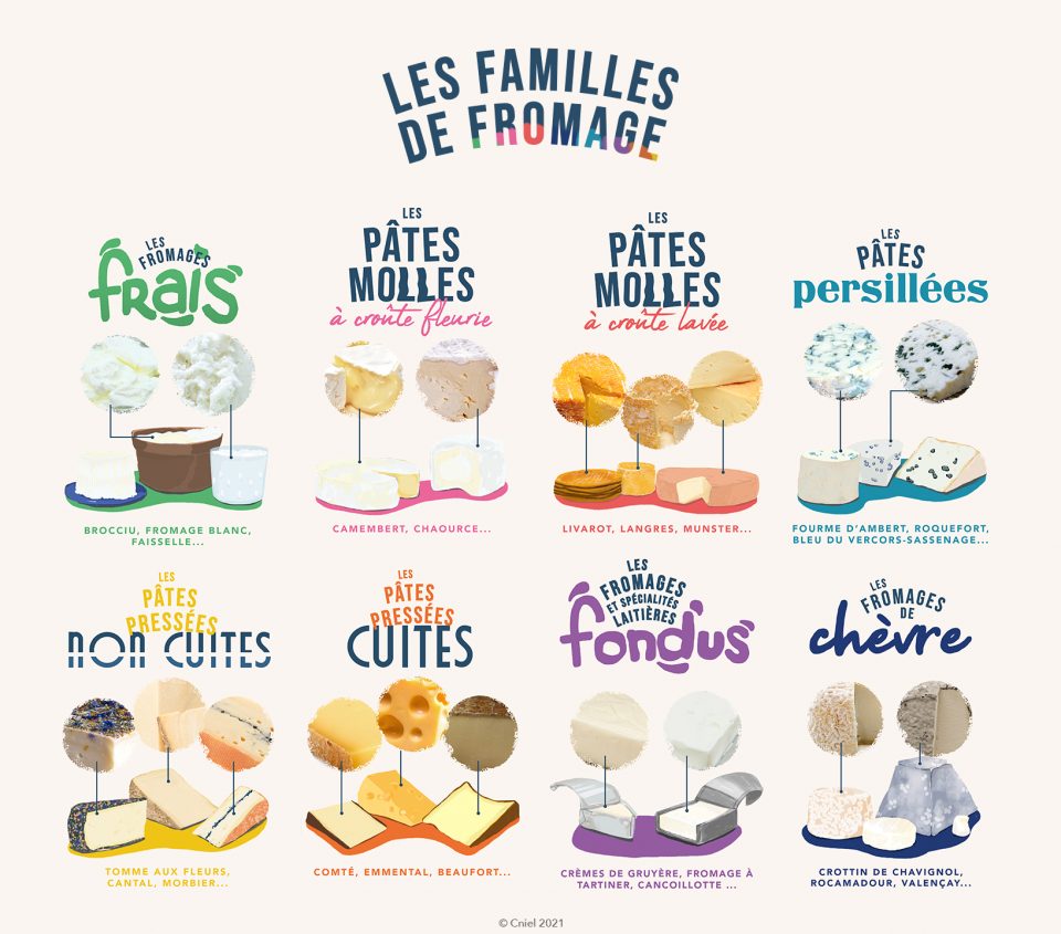 Autour de la gastronomie: Infographie : familles de fromage
