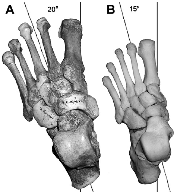 The Subversive Archaeologist: October 2012