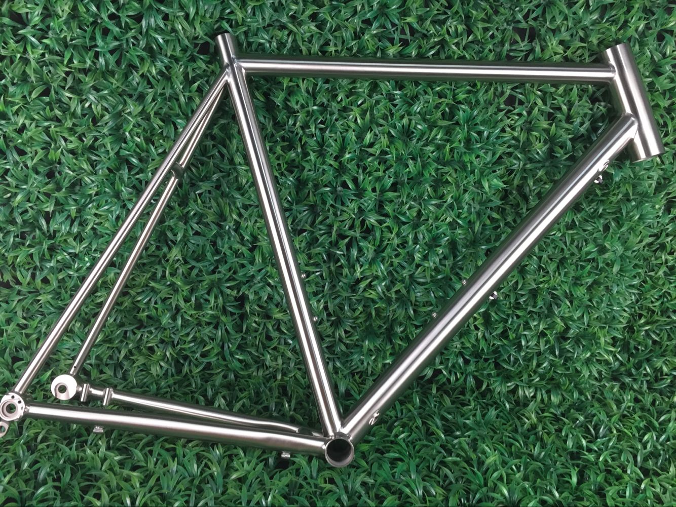 Snakes that Bite: Waltly Titanium Disc-Brake Road (Race) Frame