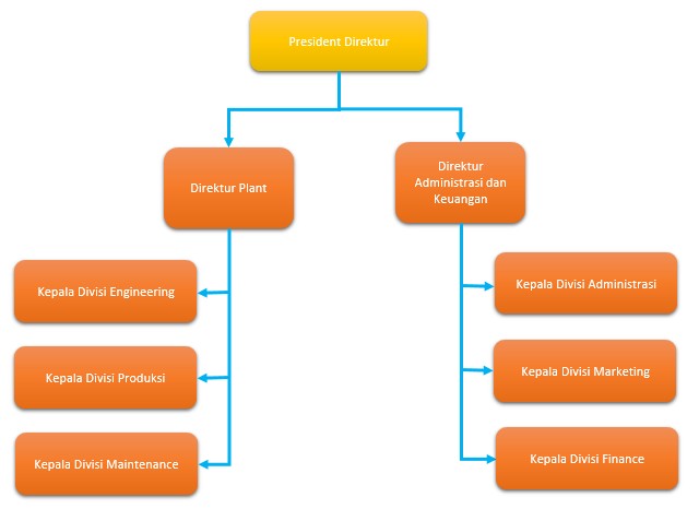 Biodata: Struktur Organisasi PT. CBI