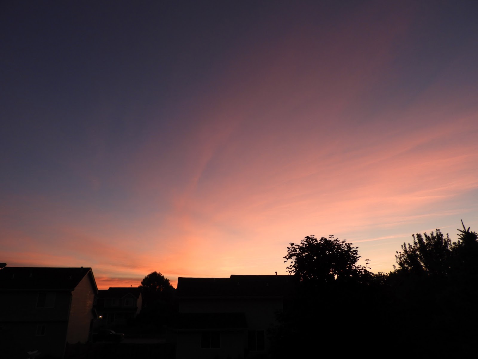 Larry's Photo a Day: Early Morning Sky.....