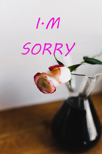 Top 10 Sorry Images greetings pictures photos for WhatsApp Facebook ...