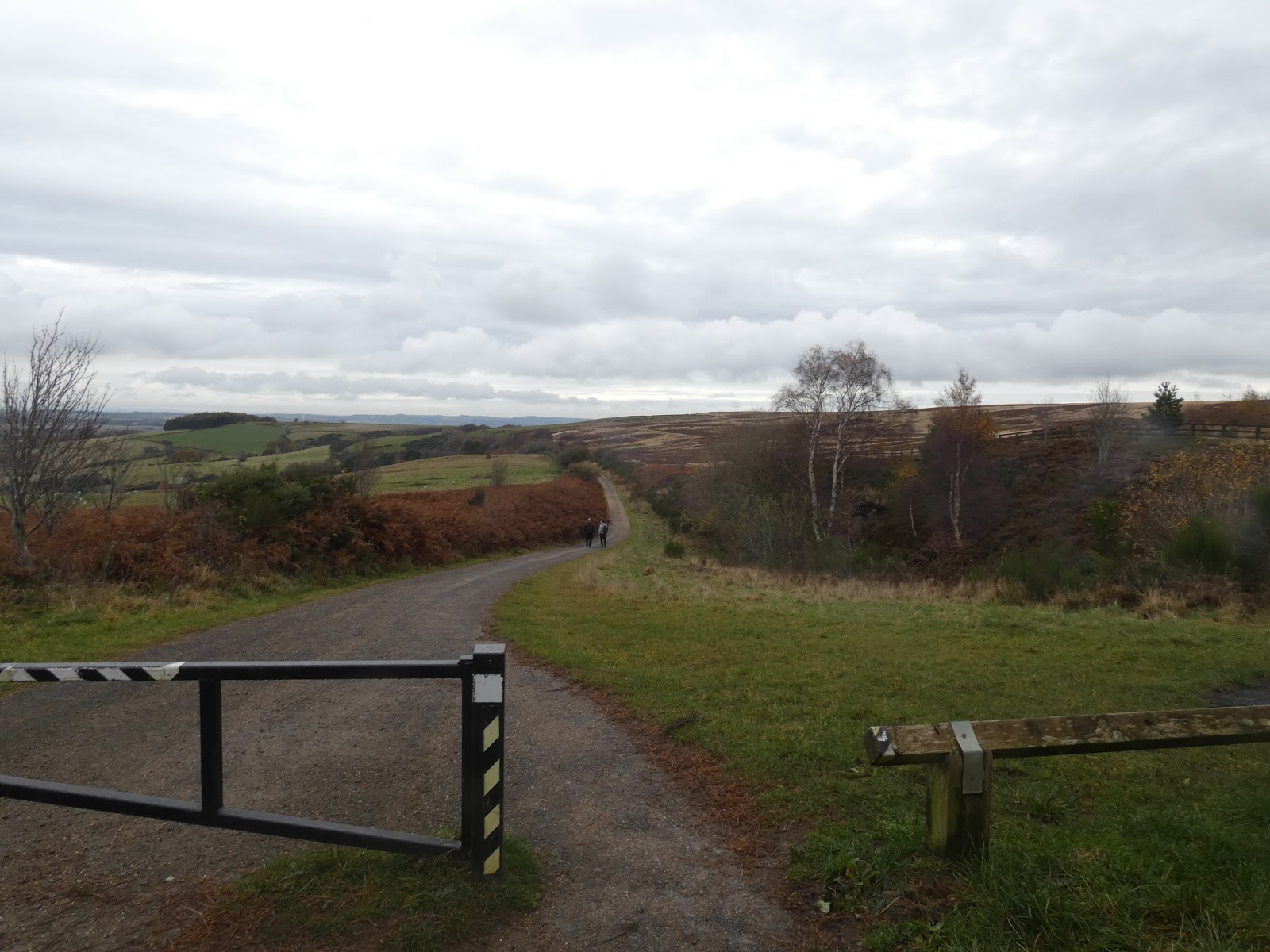 Boz North's Trail - Walking Blog: Waskerley Way - Hownsgill Farm to ...