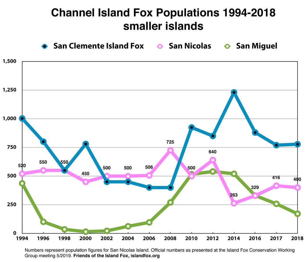 Friends of the Island Fox: 2019 Island Fox Status Update
