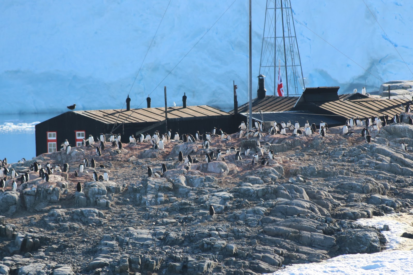 Rusty's Great Adventures: Port Lockroy