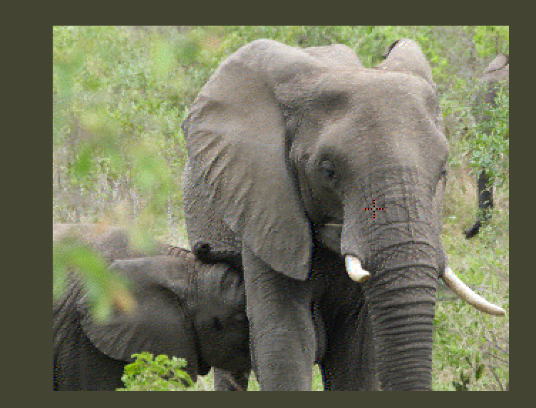 Sander van der Burg's blog: 2021