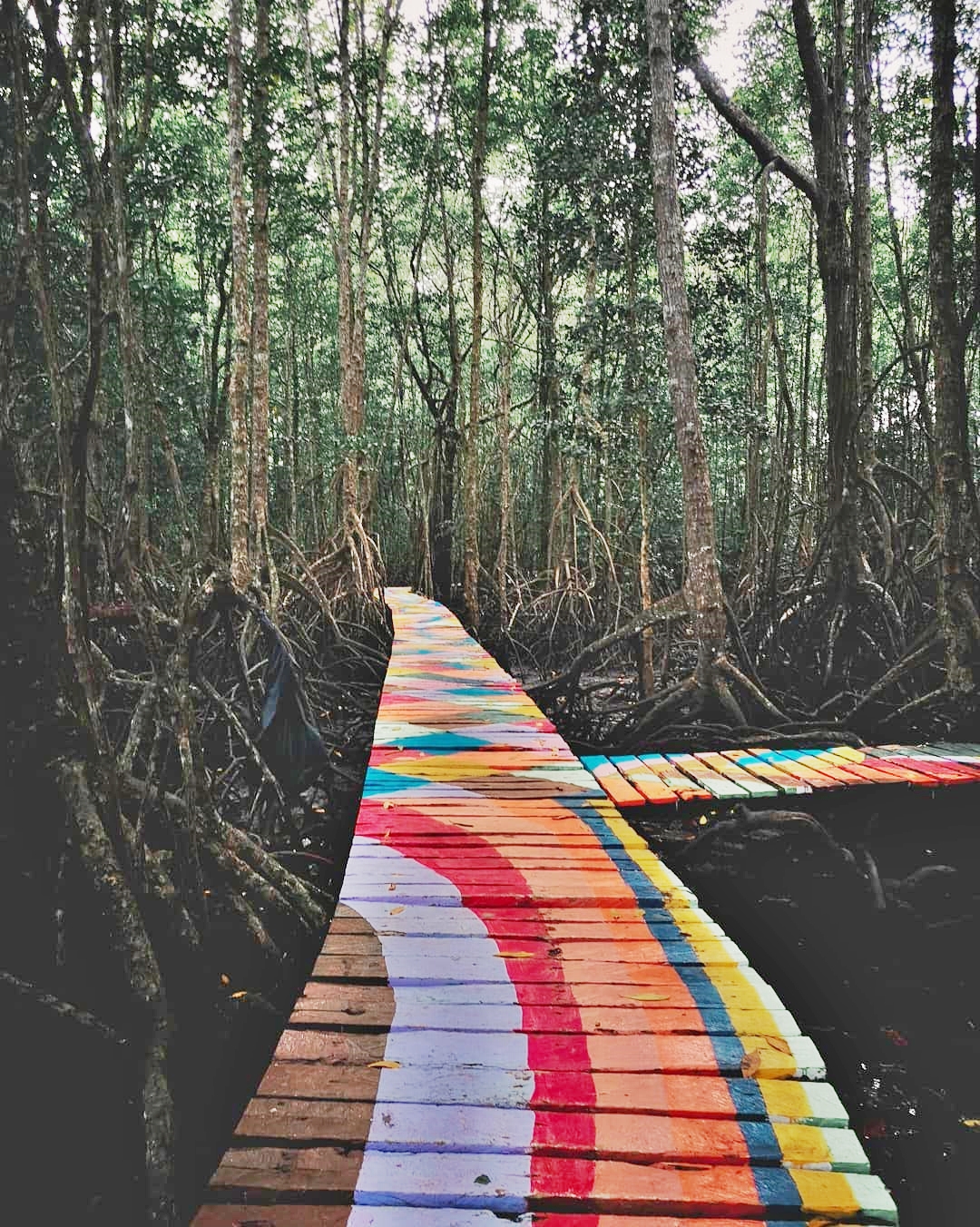 Pitas Bay View Sabah Malaysian Borneo (36 Photos)