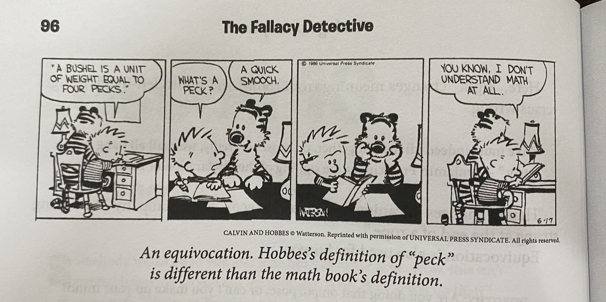 Homeschool Happenings: The Fallacy Detective