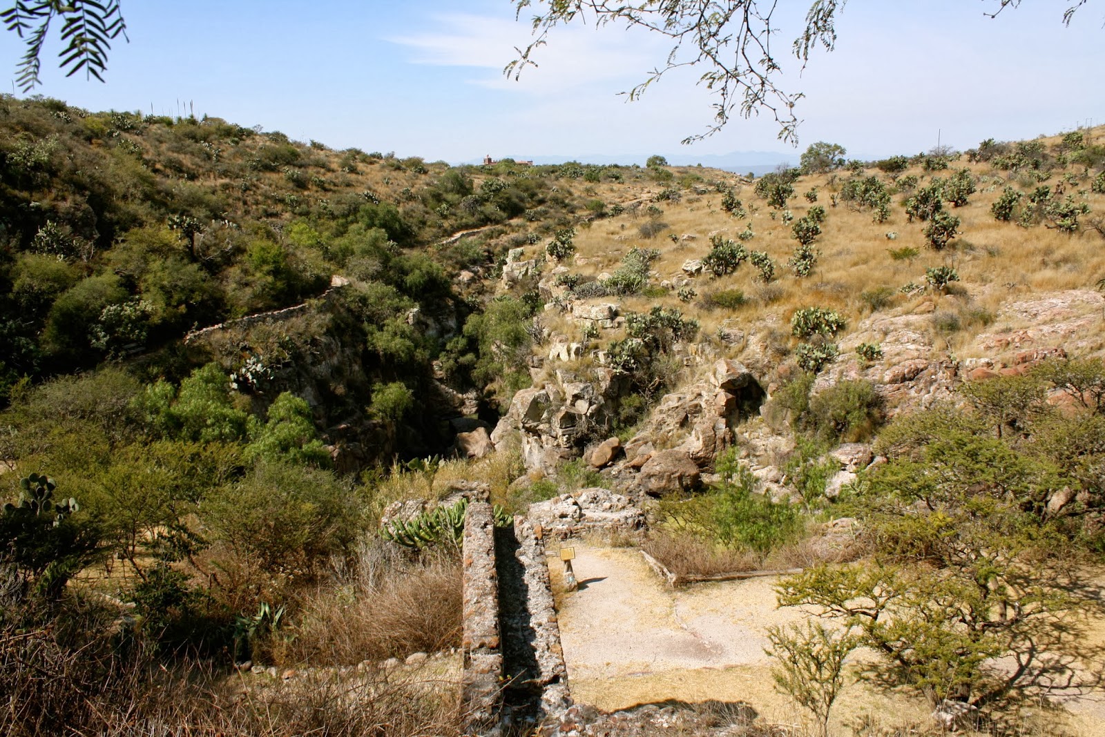 Vivero Growers Garden: Part 3- A Visit to El Charco del Ingenio, San ...