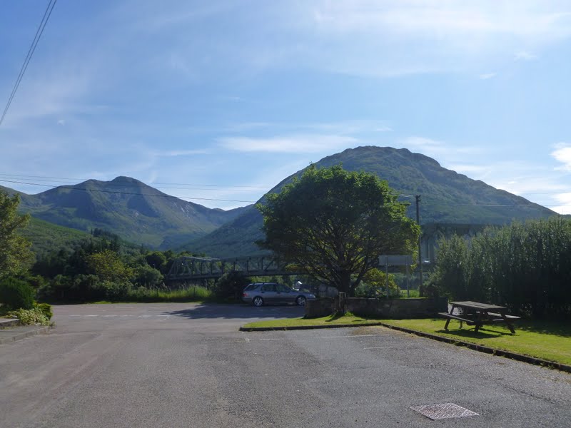 Mike's Harp Adventures: Starfish Harps