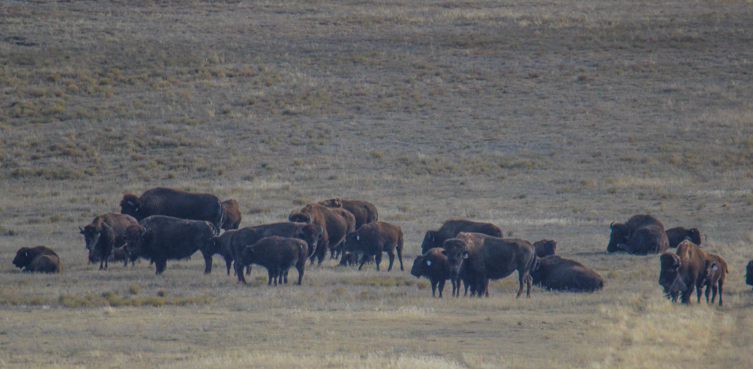 Cannundrums: Panorama Point - Nebraska High Point