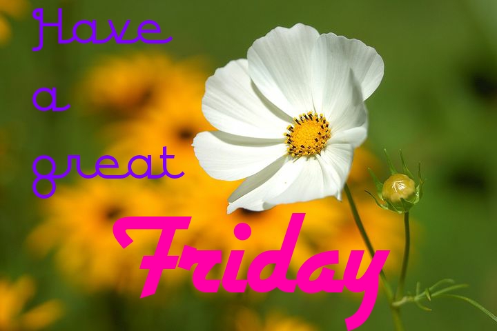 Top 10 Happy Friday Images , Pictures, Images, greeting, Photos for ...