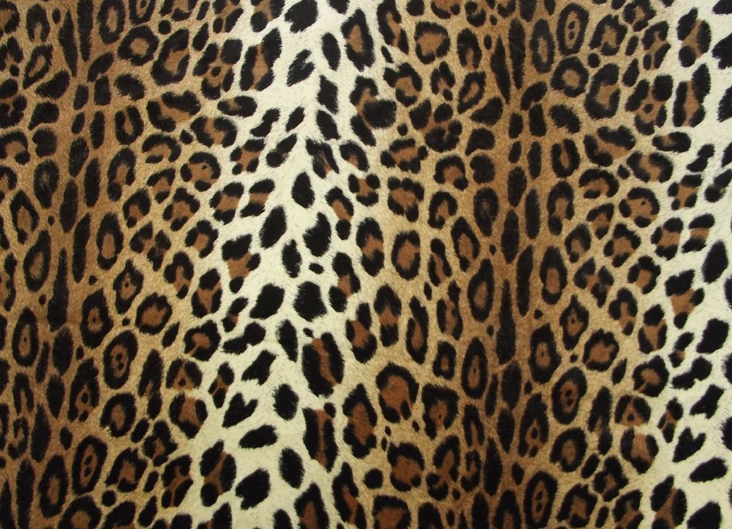 Cheetah Print Hq Wallpapers