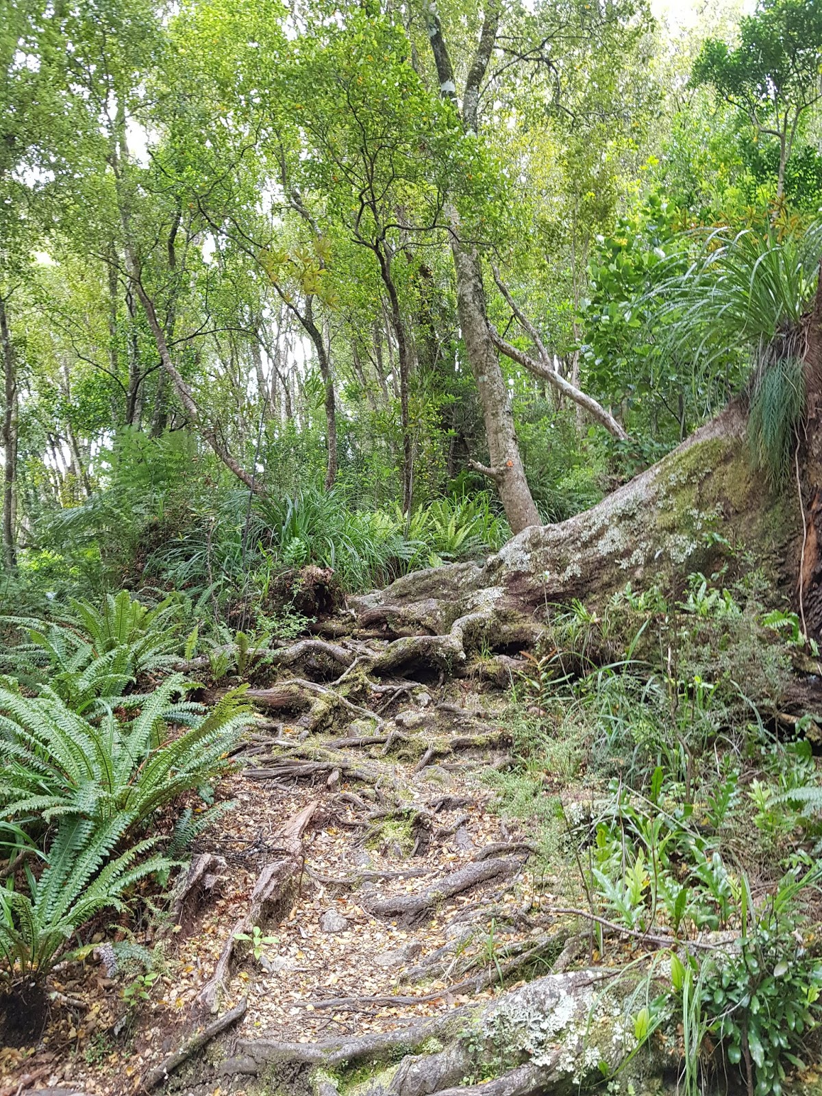 Tramping the Tararuas: Blue Range Hut