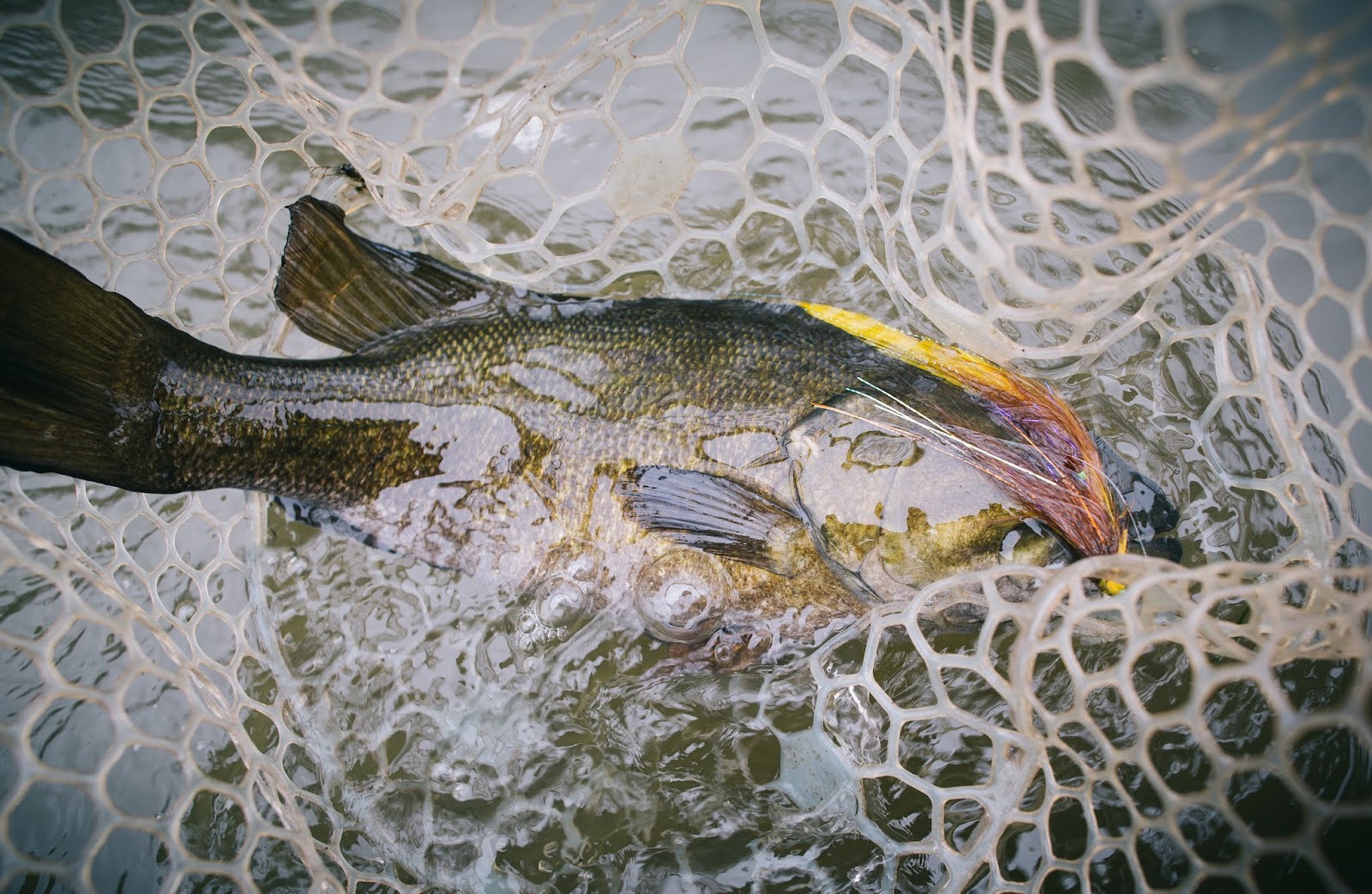 Big River Fly Fishing