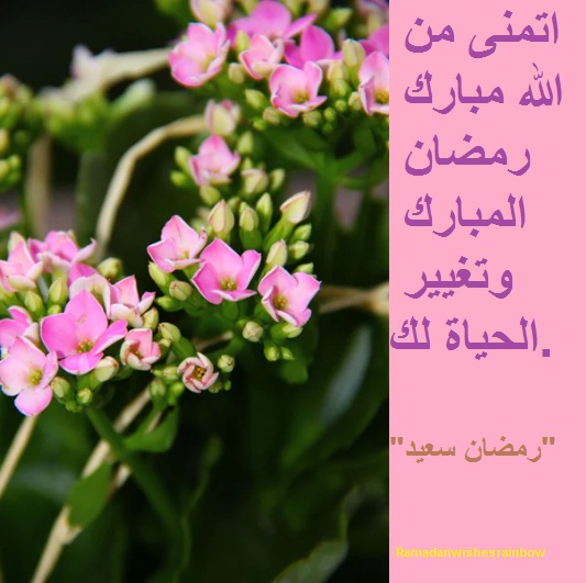 Ramadan Best Wishes In Arabic Ramadan Best Wishes ramadan-best-wishes-in-arabic-ramadan-best-wishes