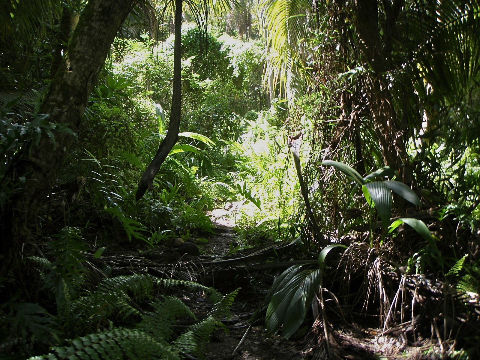 paleric: August 2016