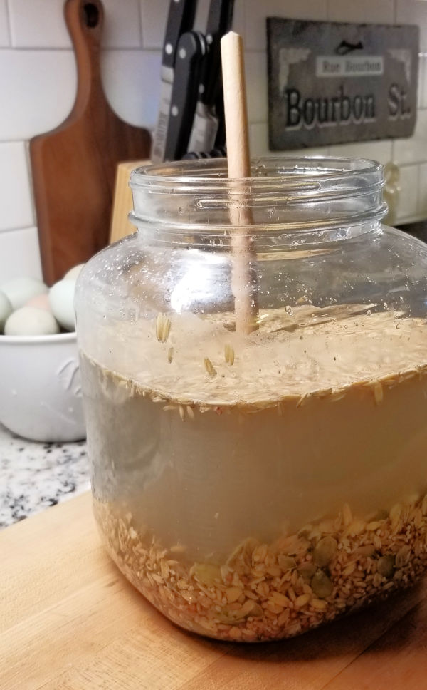 10 Reasons to Ferment Chicken Feed - Fresh Eggs Daily® with Lisa Steele