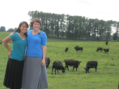 we are women project: Learning that I am an 8 cow wife.