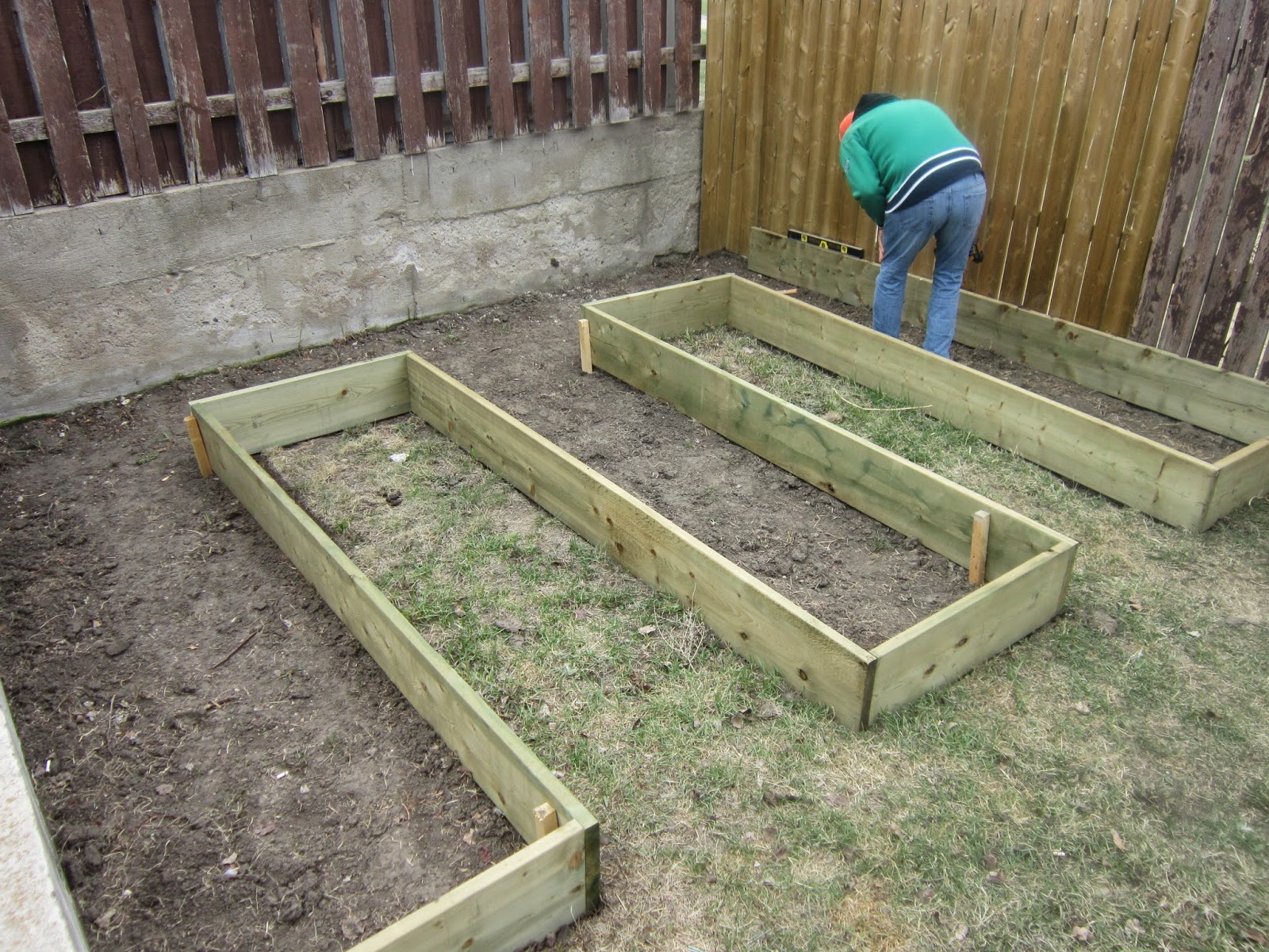 Spontaneously Creative: Building my Garden