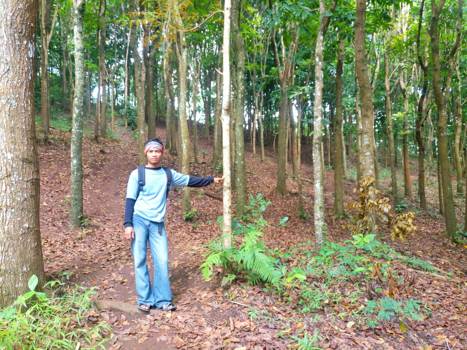 Informasi Lokasi Harga Tiket Masuk Wisata Puncak Bukit Watu Jengger ...