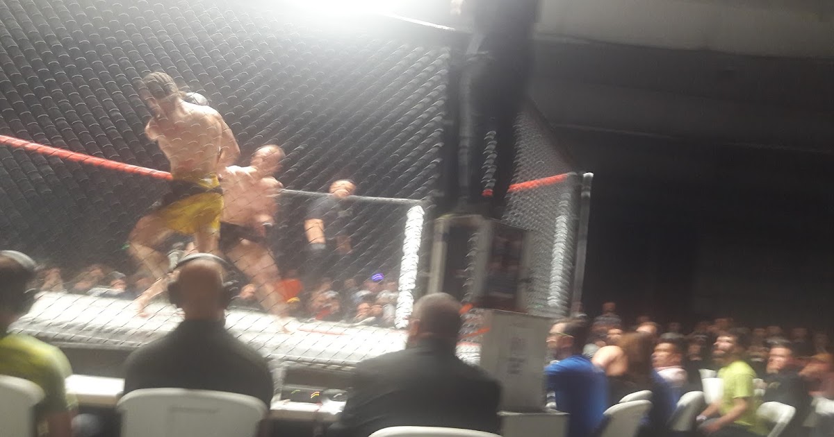 Utah MMA and Boxing : Neal holds title, Chandler, Garcia among other ...