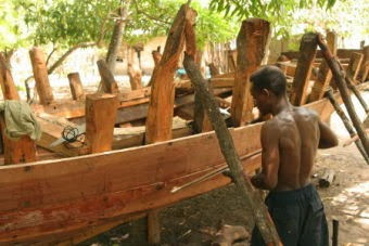 Musings: African Safari Part #4 - Reminiscing