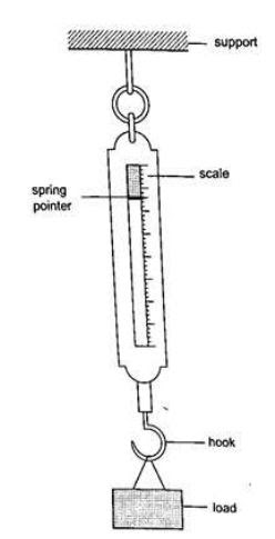 Forces, System of Forces, Laws of Newton, Physics, physics education
