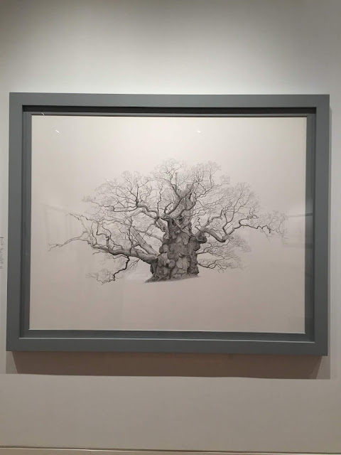 Pippa's Cabinet: A Legacy of Ancient Oaks by Mark Frith