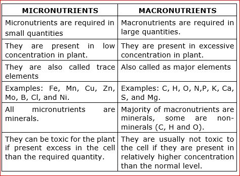 Differences Between Macro-nutrients and Micro-nutrients - Differences Info