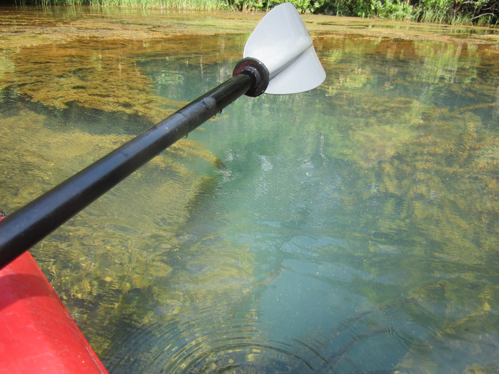 Dave's Yak Tales: Chassahowitzka