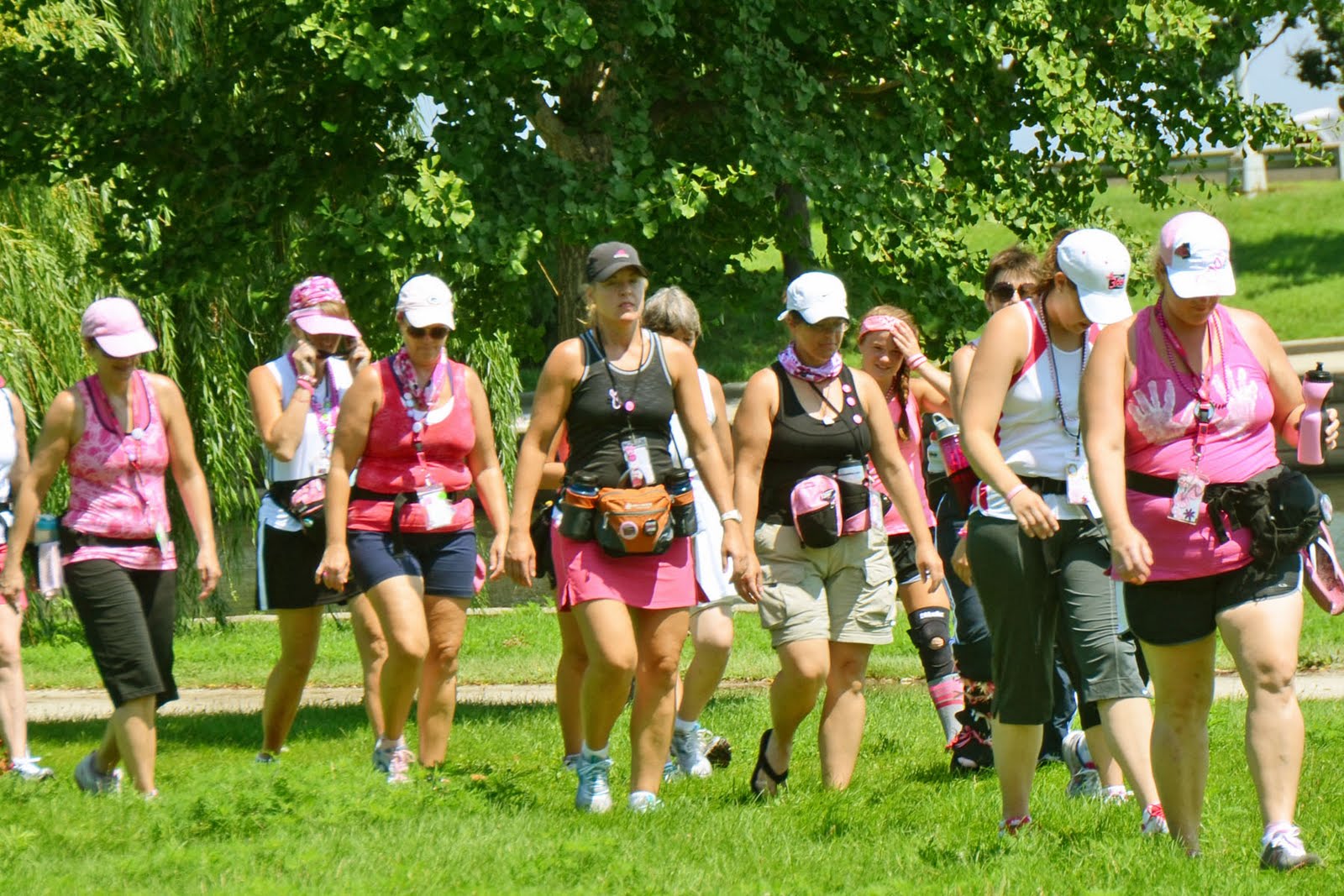 Snippets from Springdale: Zoo Zunday