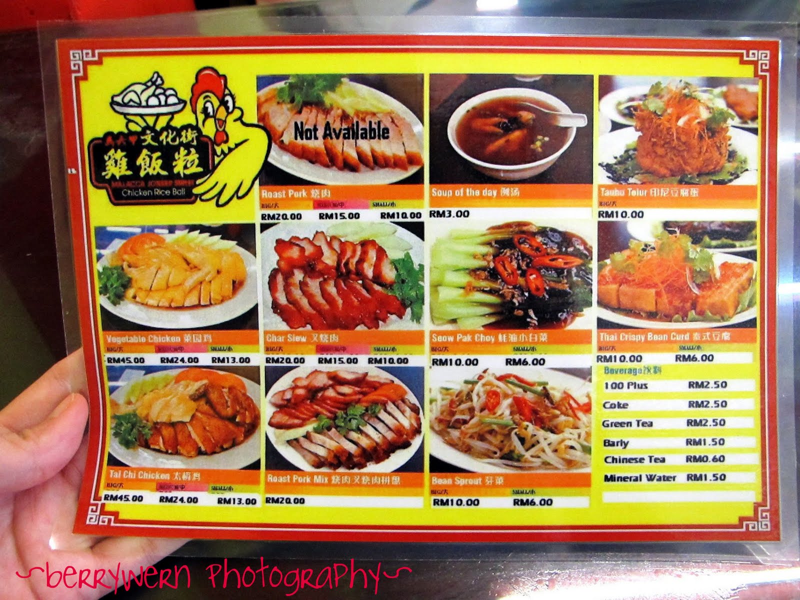 All I Want Is Eat!!!: Malacca Jonker Street Chicken Rice Ball