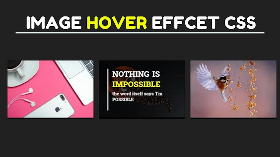 Image Overlay Hover Effects Using HTML and CSS