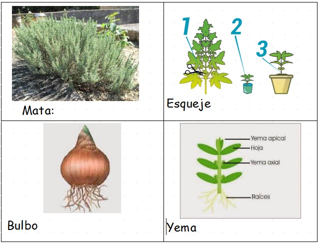 Diario de mi clase: LENGUA Y LITERATURA CASTELLANA