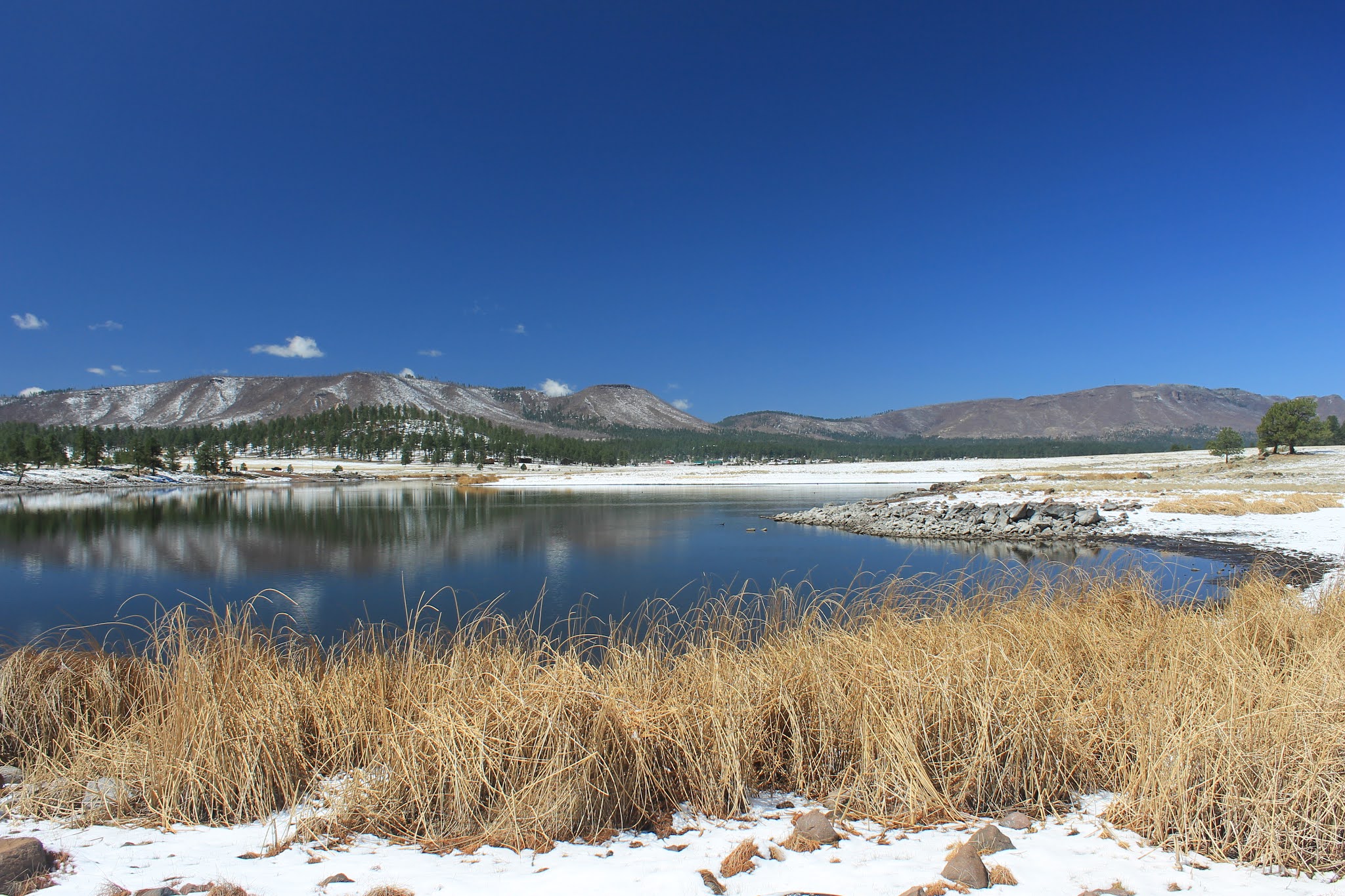Tela's Travels: Luna Lake Campground in Alpine, Arizona